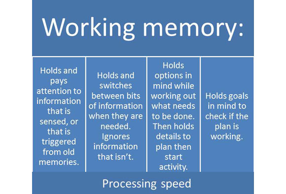 Hydrocephalus Scotland Working Memory
